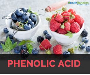 Phenolic acids Facts | Nutrition