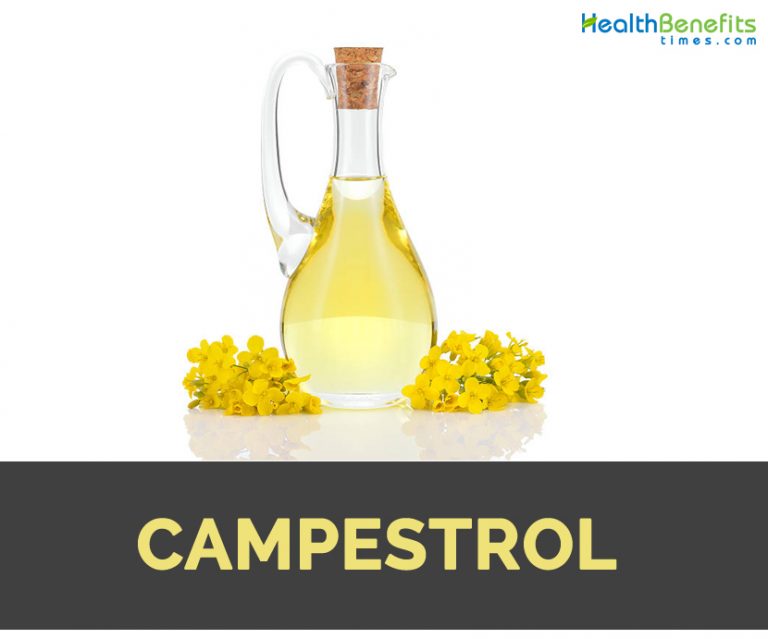 Campesterol Facts and Health Benefits | Nutrition