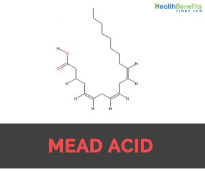 Mead acid Facts | Nutrition
